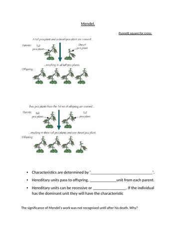 AQA GCSE Biology "Lesson 11 - Mendel" - Biology only (Inheritance ...