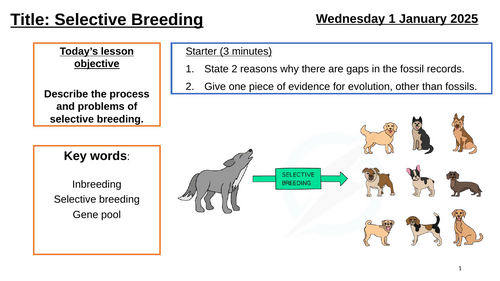 AQA GCSE Biology (Combined Trilogy and Triple/Separate Science) Inheritance, Variation and ...
