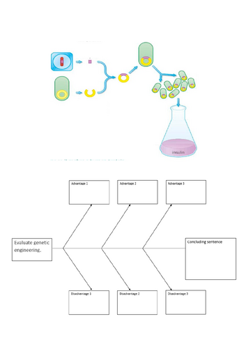 Aqa Gcse Biology Lesson 18 Genetic Engineering Inheritance Variation And Evolution Topic