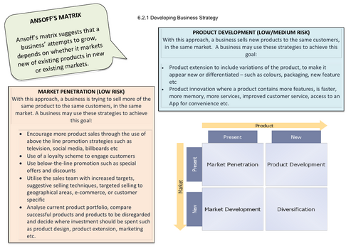 CAIE 9609 A-Level Business Studies Topic 6 | Teaching Resources