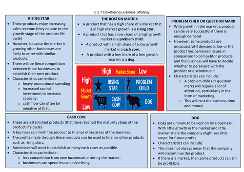 CAIE 9609 A-Level Business Studies Topic 6 | Teaching Resources