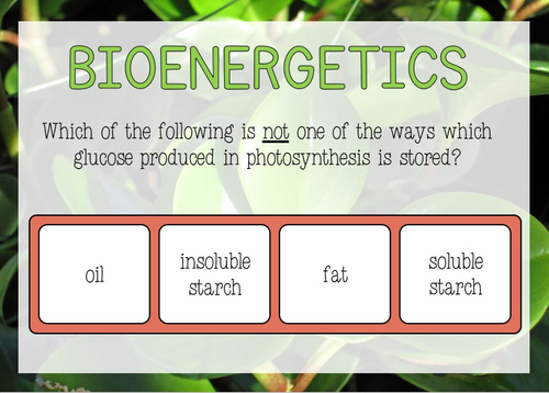 Interactive Bioenergetics Quiz for GCSE & High School Biology | Boom ...