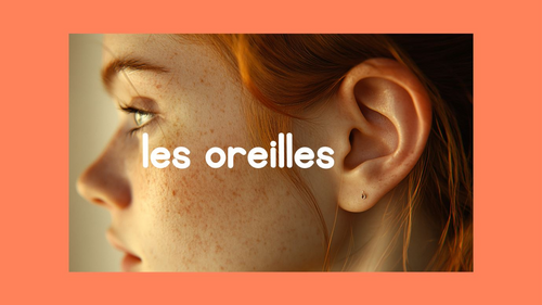 Engaging French Body Parts PowerPoint: Vibrant Visuals & Vocabulary for ...