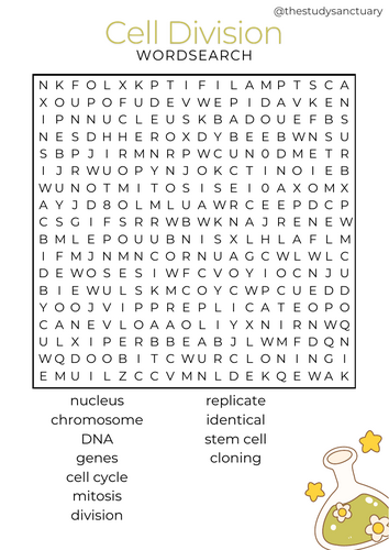 Cell Division Activities - AQA GCSE Biology 4.1.2 | Teaching Resources