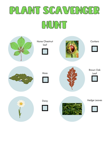 Plant Scavenger Hunt | Teaching Resources