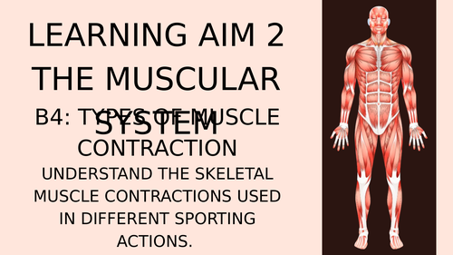 BTEC Sport Anatomy - Learning Aim B Muscular System PowerPoint ...