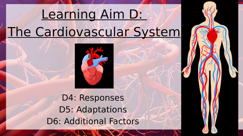 BTEC Sport Anatomy - Learning Aim D Cardiovascular System PowerPoint ...
