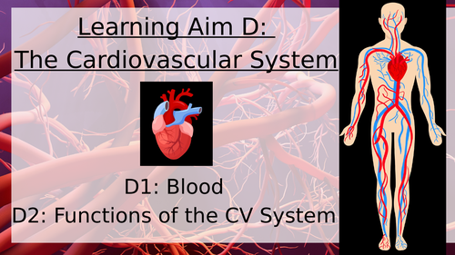 BTEC Sport Anatomy - Learning Aim D Cardiovascular System PowerPoint Collection | Teaching Resources