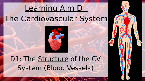 BTEC Sport Anatomy - Learning Aim D Cardiovascular System PowerPoint ...