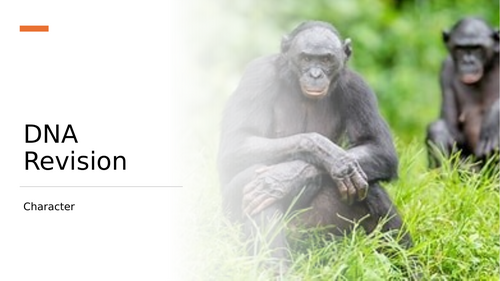 DNA Dennis Kelly Character Revision | Teaching Resources