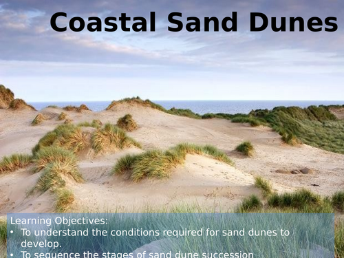 iGCSE Geography - Coasts - 9- Coastal ecosystems - dunes | Teaching ...