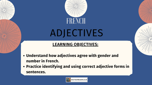 French Adjective Agreement | Teaching Resources