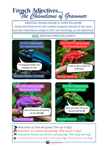 French Adjective Agreement | Teaching Resources