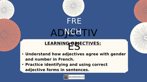 French Adjective Agreement | Teaching Resources
