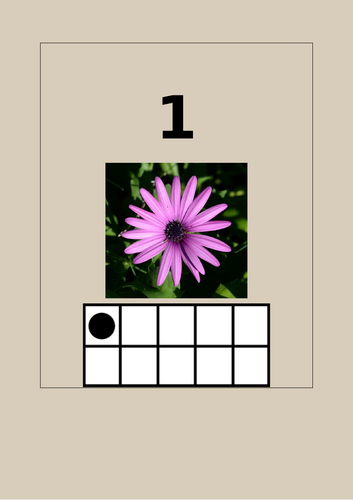 Nature Subitising Number cards with tens frame to support 1-10 ...