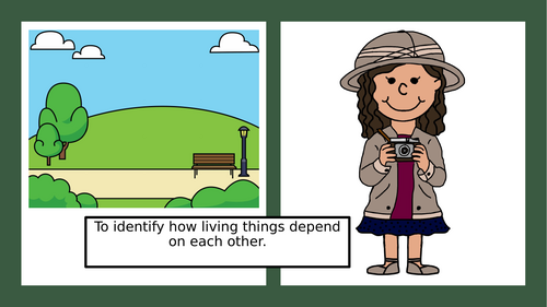 KS1 To identify how living things depend on each other | Teaching Resources