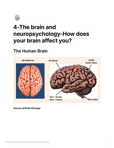 Psychology-GCSE-THE BRAIN | Teaching Resources