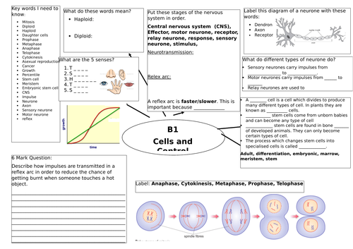 Edexcel Biology Paper 1 Revision Bundle | Teaching Resources