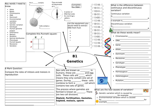 Edexcel Biology Paper 1 Revision Bundle | Teaching Resources