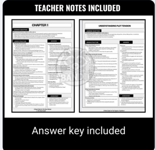 THE HOTEL BALZAAR Novel Study Unit | Teaching Resources