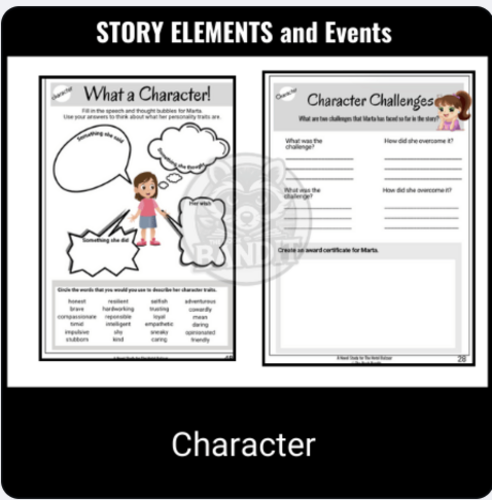 THE HOTEL BALZAAR Novel Study Unit | Teaching Resources