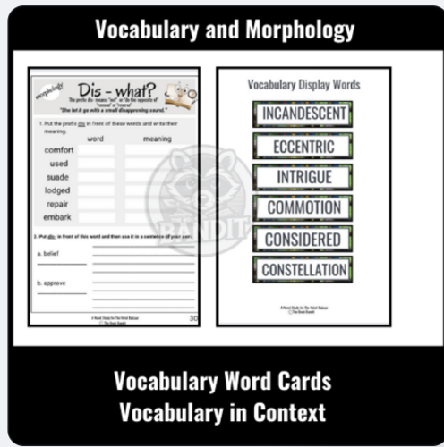 THE HOTEL BALZAAR Novel Study Unit | Teaching Resources