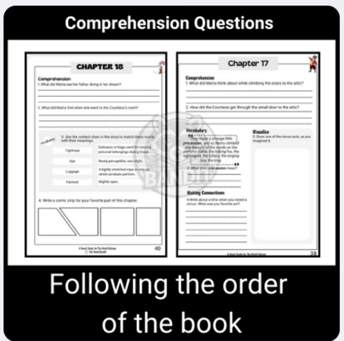 THE HOTEL BALZAAR Novel Study Unit | Teaching Resources