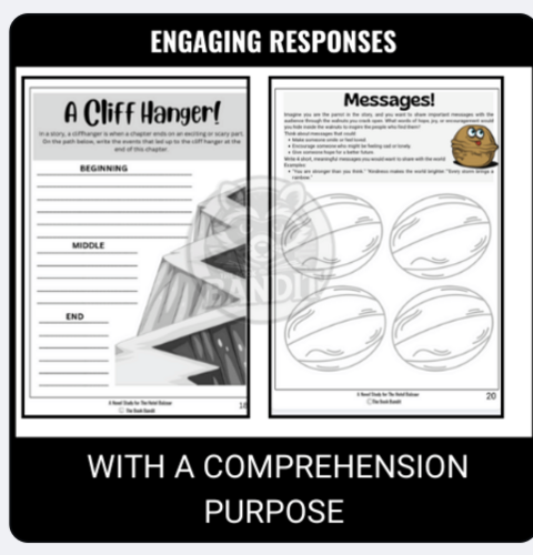 THE HOTEL BALZAAR Novel Study Unit | Teaching Resources