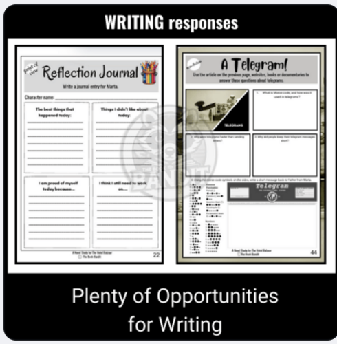 THE HOTEL BALZAAR Novel Study Unit | Teaching Resources