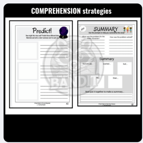 THE HOTEL BALZAAR Novel Study Unit | Teaching Resources