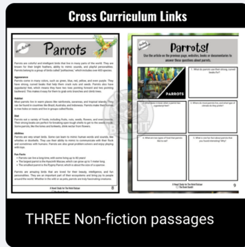 THE HOTEL BALZAAR Novel Study Unit | Teaching Resources