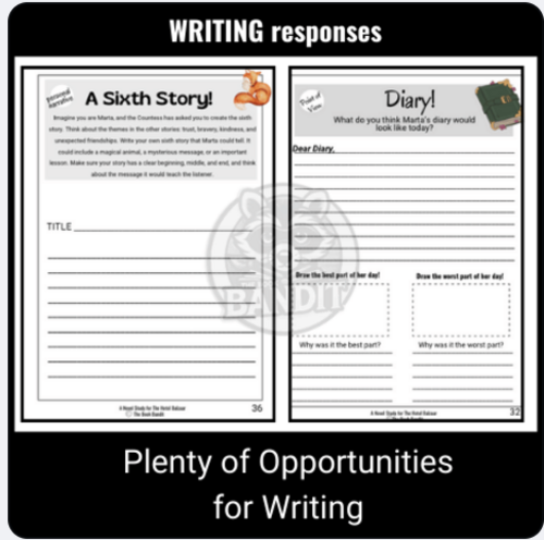 THE HOTEL BALZAAR Novel Study Unit | Teaching Resources