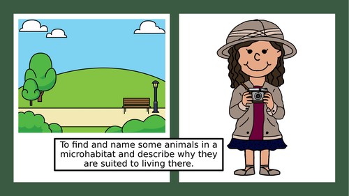 KS1 To find and name animals in a microhabitat & explain why they are ...