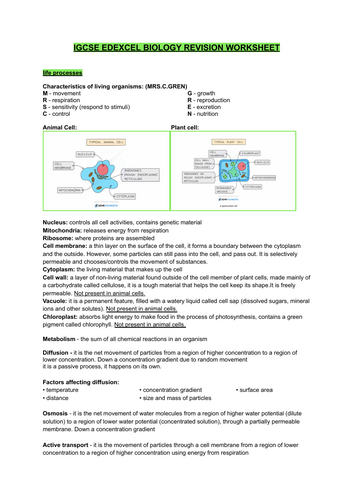 IGCSE Biology Edexcel Revision Guide | Teaching Resources IGCSE Biology Edexcel Revision Guide | Teaching Resources