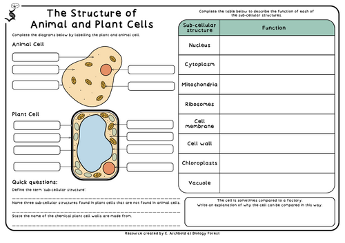 Animal and Plant Cell Structure | GCSE Biology | Teaching Resources