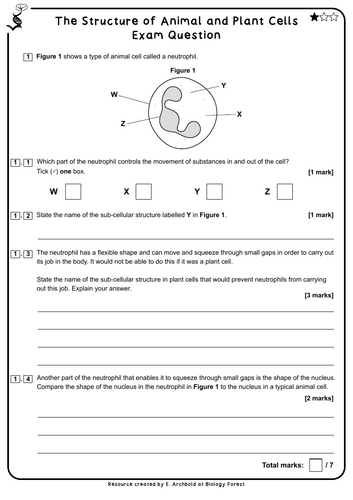 Animal and Plant Cell Structure | GCSE Biology | Teaching Resources