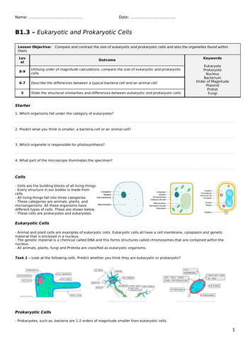 B1.3 Eukaryotic & Prokaryotic Cells (AQA) | Teaching Resources