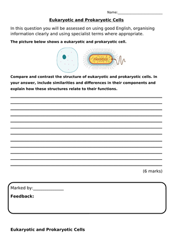 B1.3 Eukaryotic & Prokaryotic Cells (AQA) | Teaching Resources