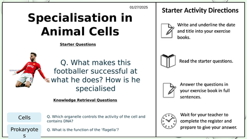 B1.4 Specialisation in Animal Cells (AQA) | Teaching Resources