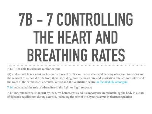 A2 international 7B chapter - Muscles, Movement and the heart - full pack | Teaching Resources