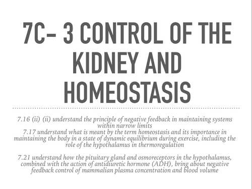 A2 international 7C chapter - Muscles, Control of the internal ...