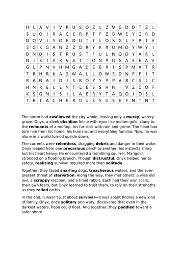 Wordsearch with a difference | Teaching Resources