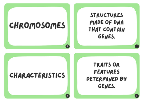 B2: Cell Division Flashcards (AQA GCSE Combined/Triple) | Teaching ...