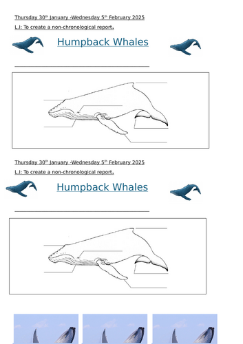 The Snail and the Whale English planning | Teaching Resources