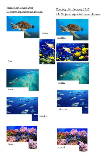 The Snail and the Whale English planning | Teaching Resources