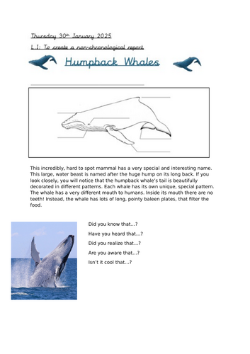 The Snail and the Whale English planning | Teaching Resources