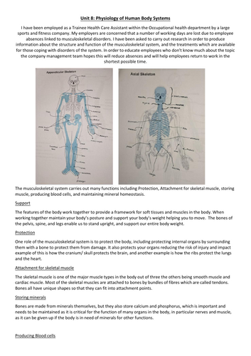 Unit 8: Physiology of Human Body Systems/ The Musculoskeletal System ...