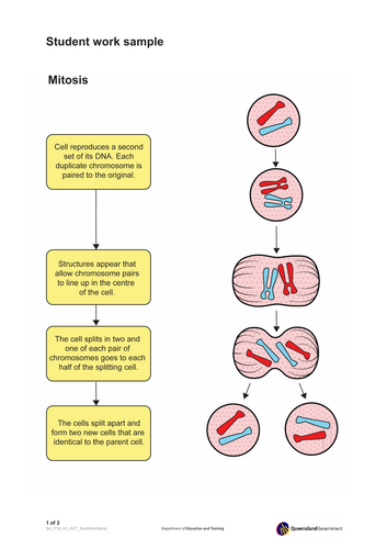 AQA GCSE Cell Biology Series of Full Lessons | Teaching Resources