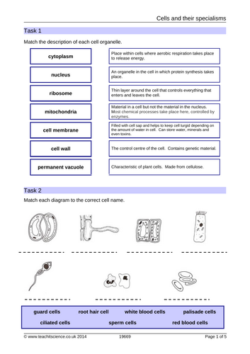 AQA GCSE Cell Biology Series of Full Lessons | Teaching Resources