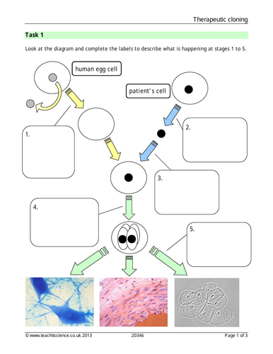 AQA GCSE Cell Biology Series of Full Lessons | Teaching Resources